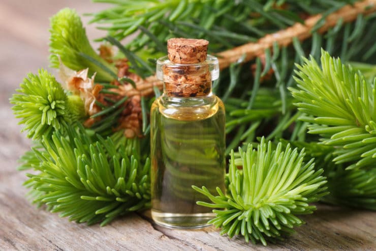 Red Cedar Essential Oil - OptingHealth