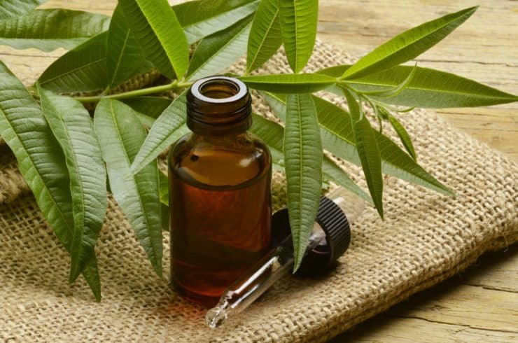 Tea Tree Oil - OptingHealth