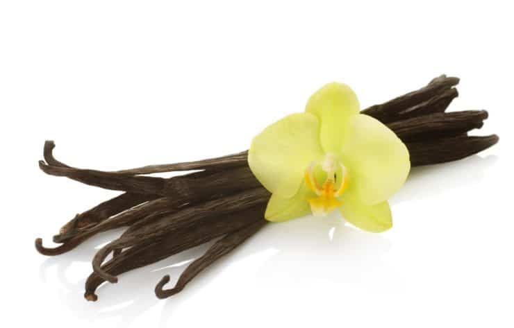 Vanilla Essential Oil - OptingHealth