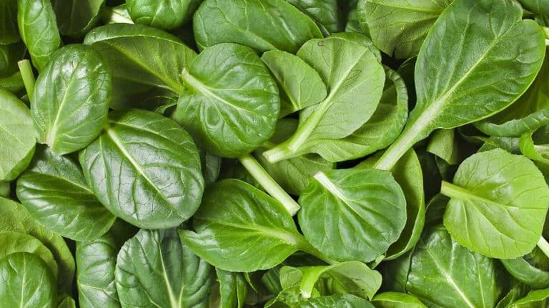 These 11 Foods High in Nitrates are Rich in Other Nutrients as Well ...