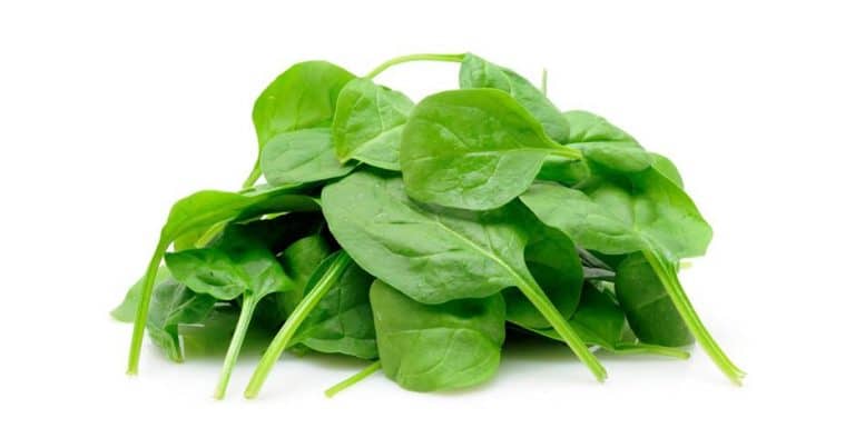 Try These Top 10 Foods High in Vitamin K1, the Super Foods for Everyone ...