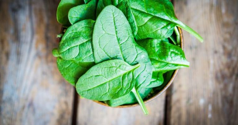 Foods High in GABA to Boost Your Brain [Increase GABA Naturally]