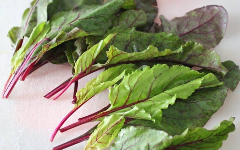 Try These Top 10 Foods High in Vitamin K1, the Super Foods for Everyone ...