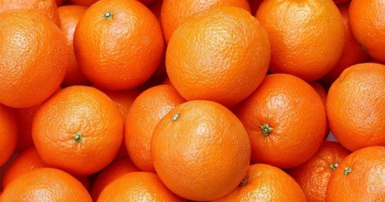 Foods High in GABA to Boost Your Brain [Increase GABA Naturally]