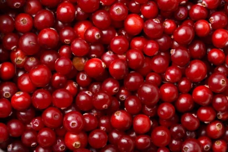 These 11 Foods High in Nitrates are Rich in Other Nutrients as Well ...