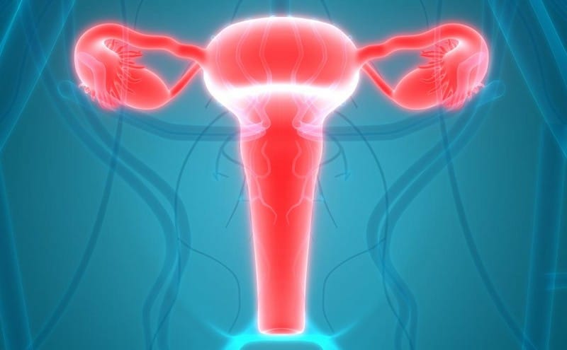 What Could Trigger Enlarged Uterus? 12 Possible Causes - OptingHealth