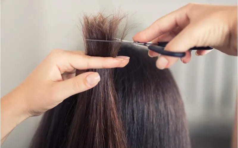 What Could Trigger Hair Breakage? 12 Possible Causes - OptingHealth