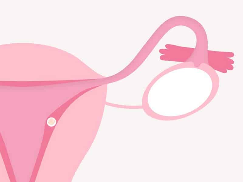 Early Signs Of Implantation: 12 Symptoms - OptingHealth